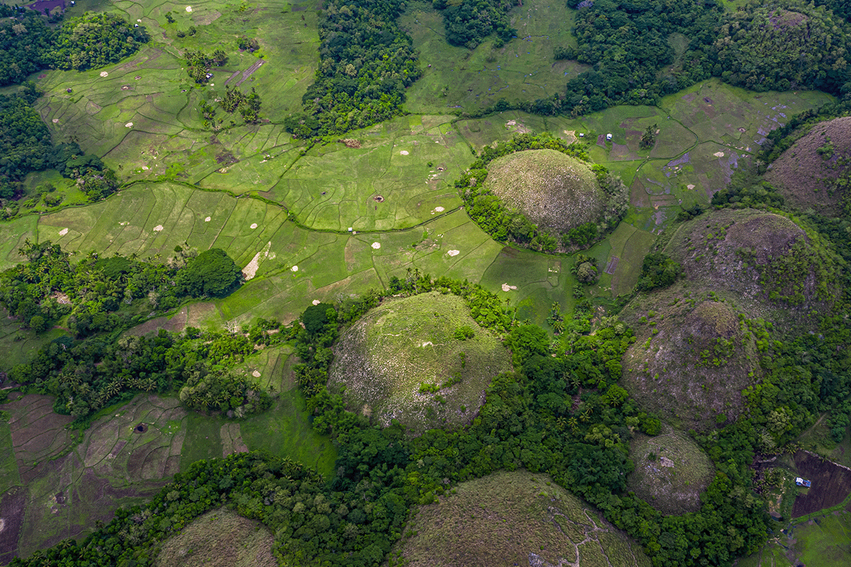 The Philippines' battle against deforestation: progress and challenges