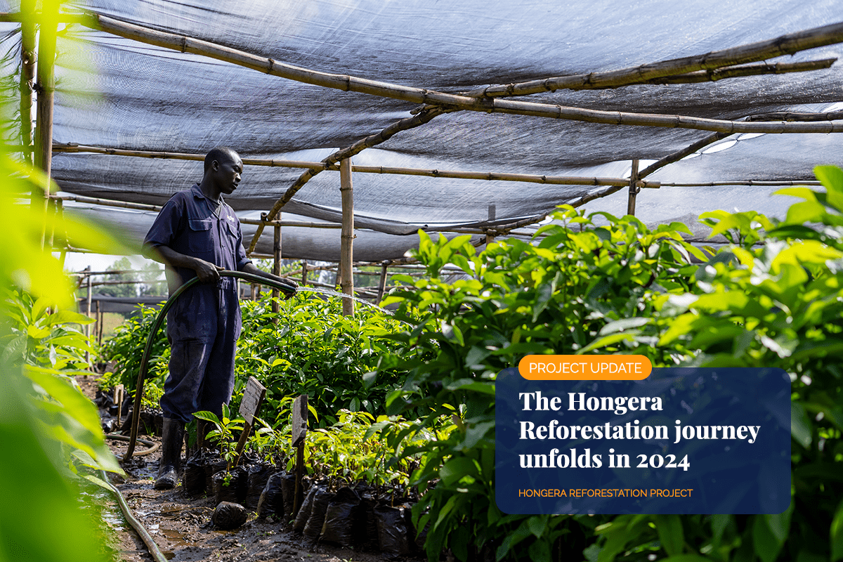 The Hongera Reforestation journey unfolds in 2024