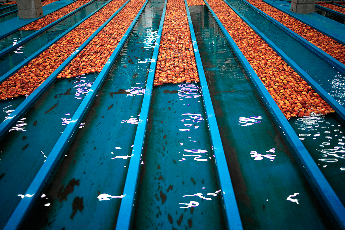 10 Simple ways for businesses to save water