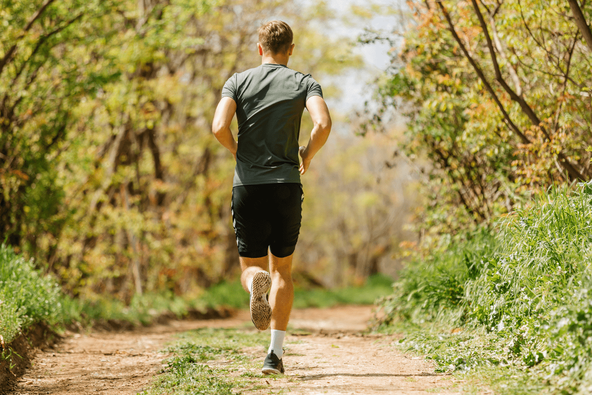 Reforestation: 10 Amazing benefits of planting trees