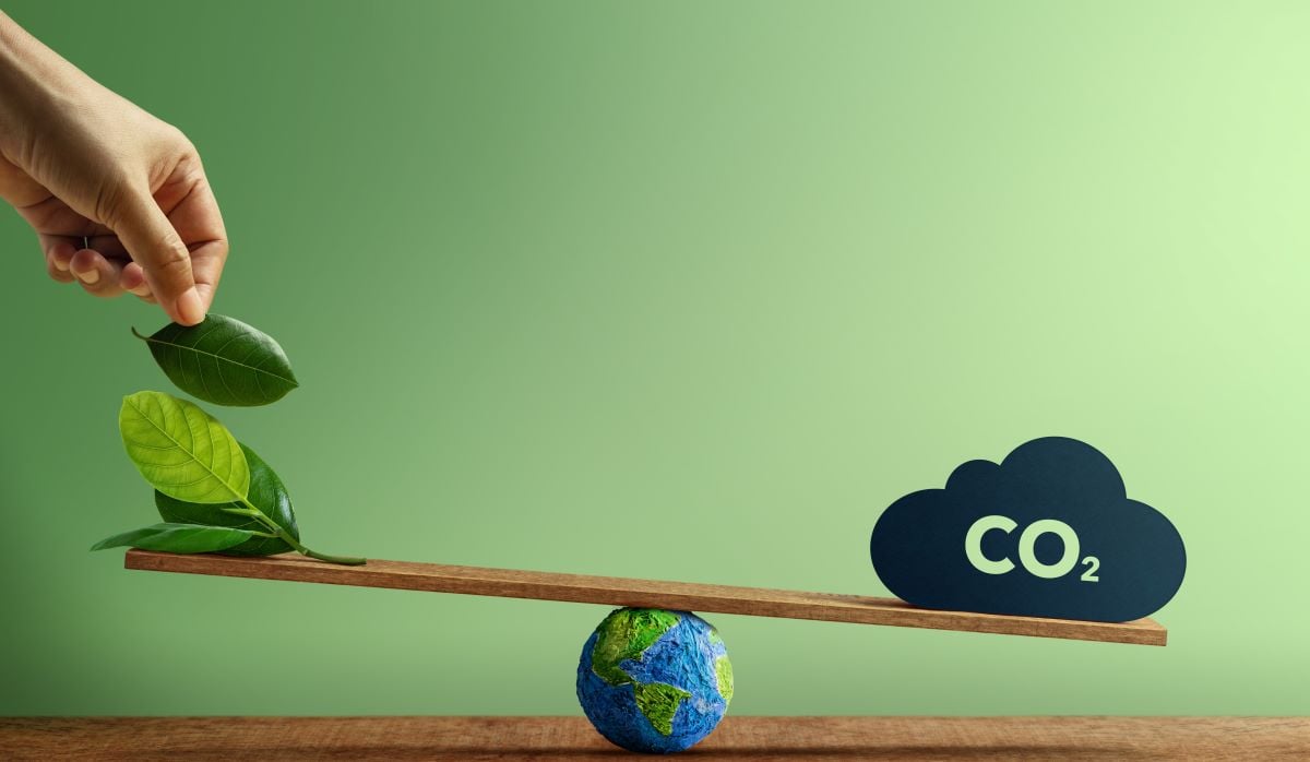 10 gemakkelijke manieren om uw ecologische voetafdruk te verminderen
