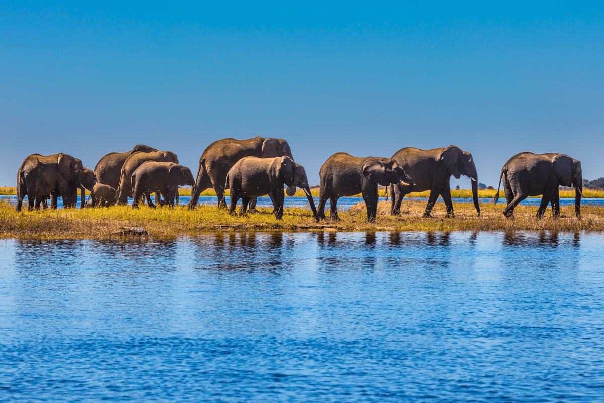 10 Vital ecosystem services: sustaining life on Earth