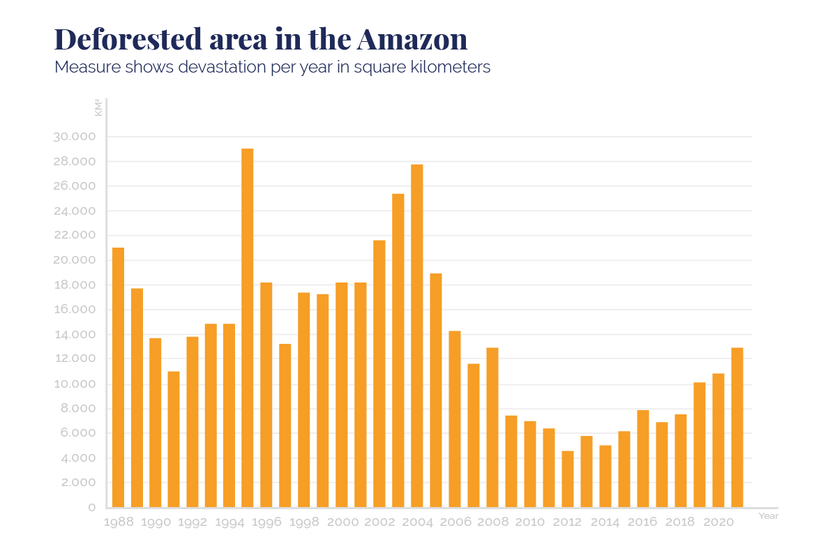 Deforestation gets political in Brazil
