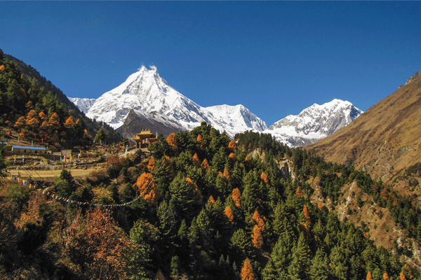 Nepal's community forestry initiatives: A successful model to combat ...