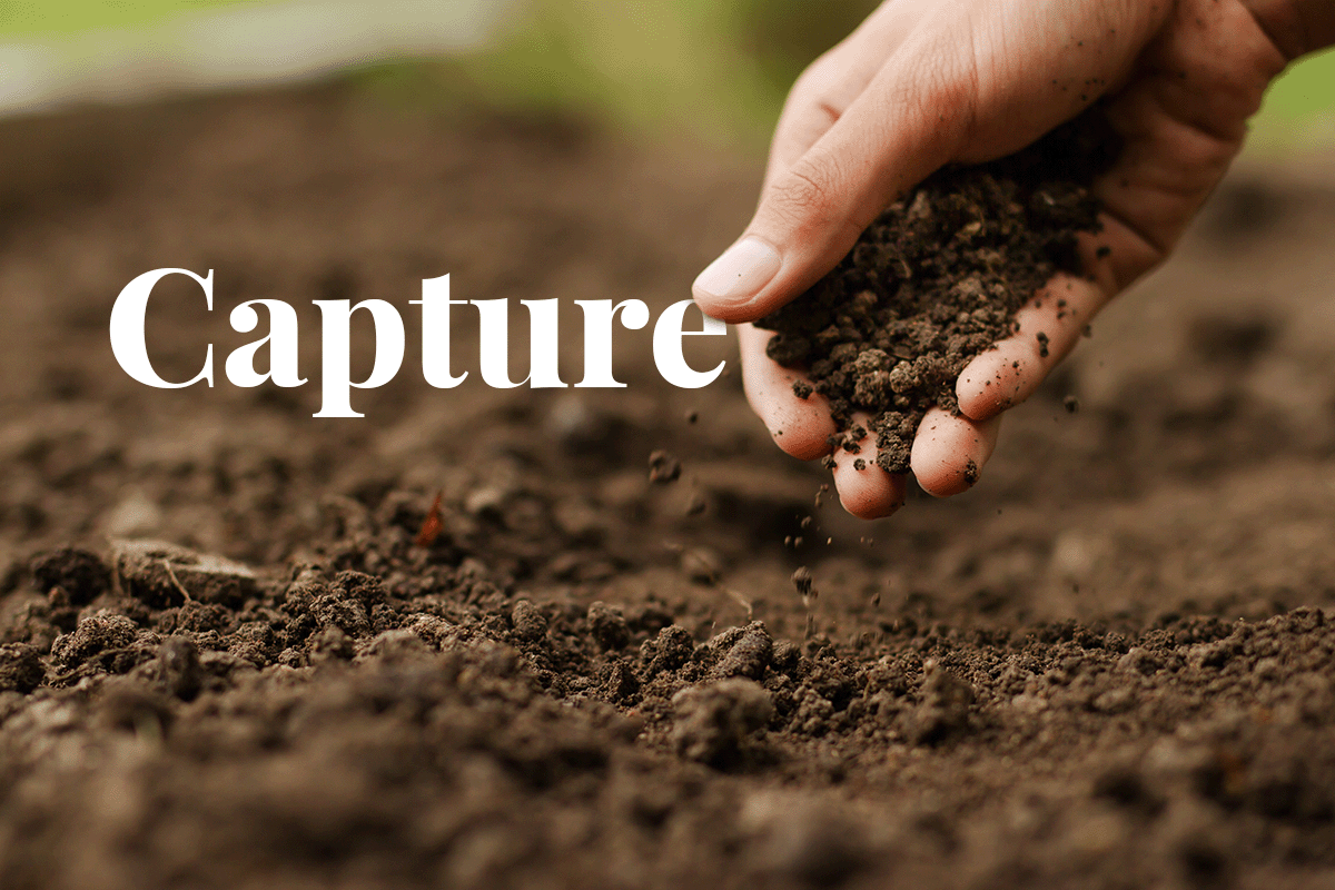 Boosting soil carbon capture: Loam Bio raises $73M in Series B funding