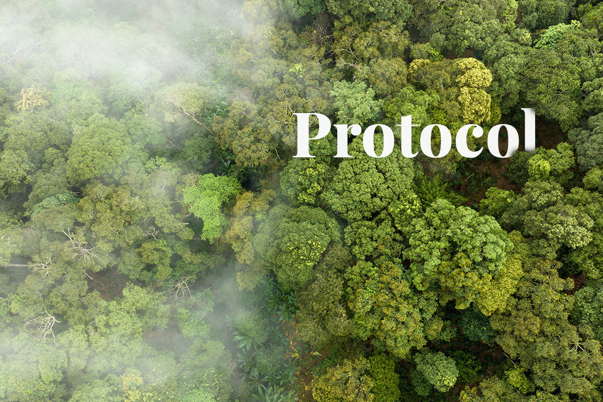 New Greenhouse Gas Protocol rules: what you need to know