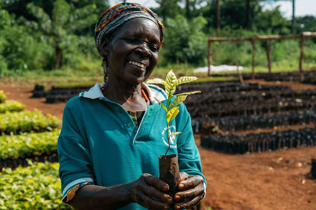 What makes DGB’s reforestation projects unique?