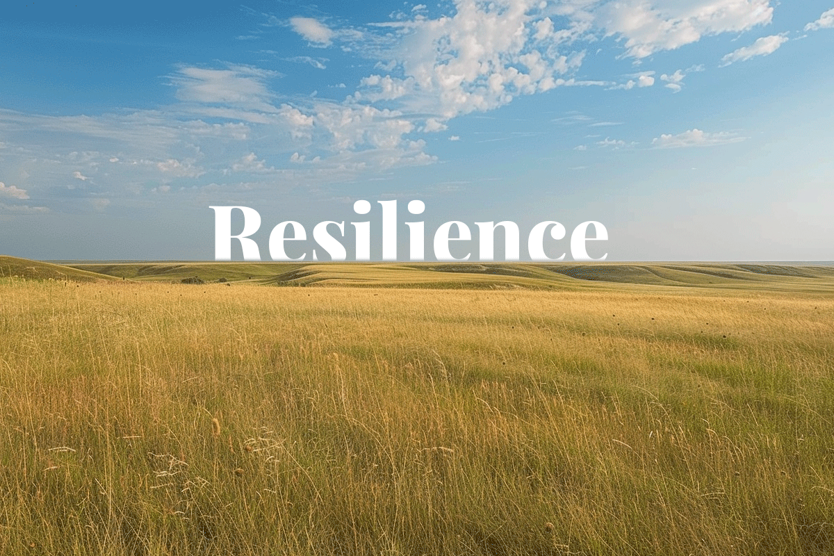 Aviva and NCC forge $6M alliance for Canada's natural resilience