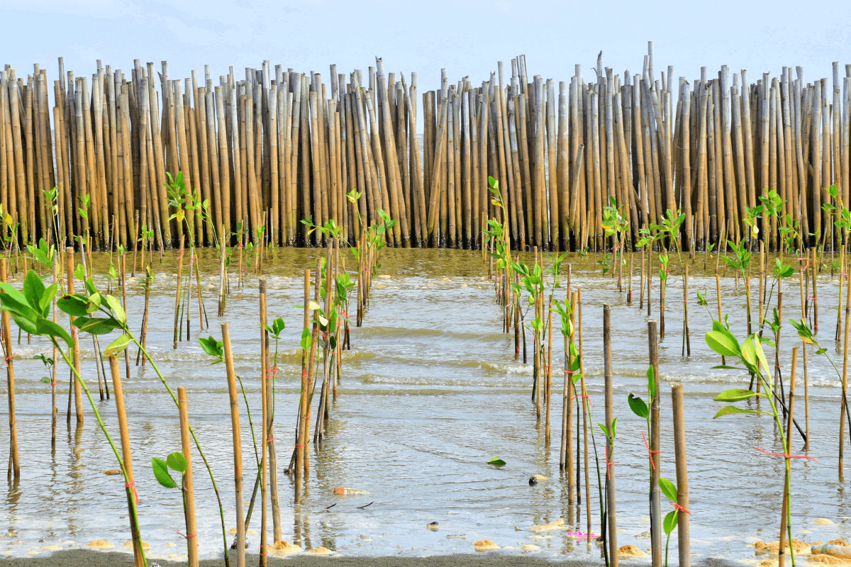 7 Strategies for protecting wildlife