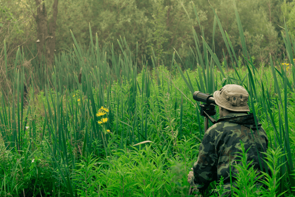 7 Strategies for protecting wildlife