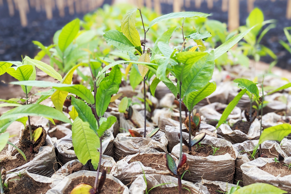 7 Strategies for protecting wildlife