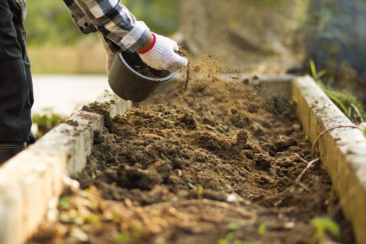 Green Earth | The importance and impact of waste management