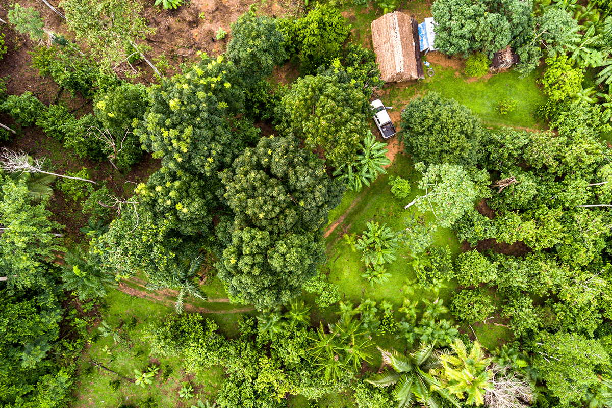 Green Earth | Exploring sustainable agricultural practices