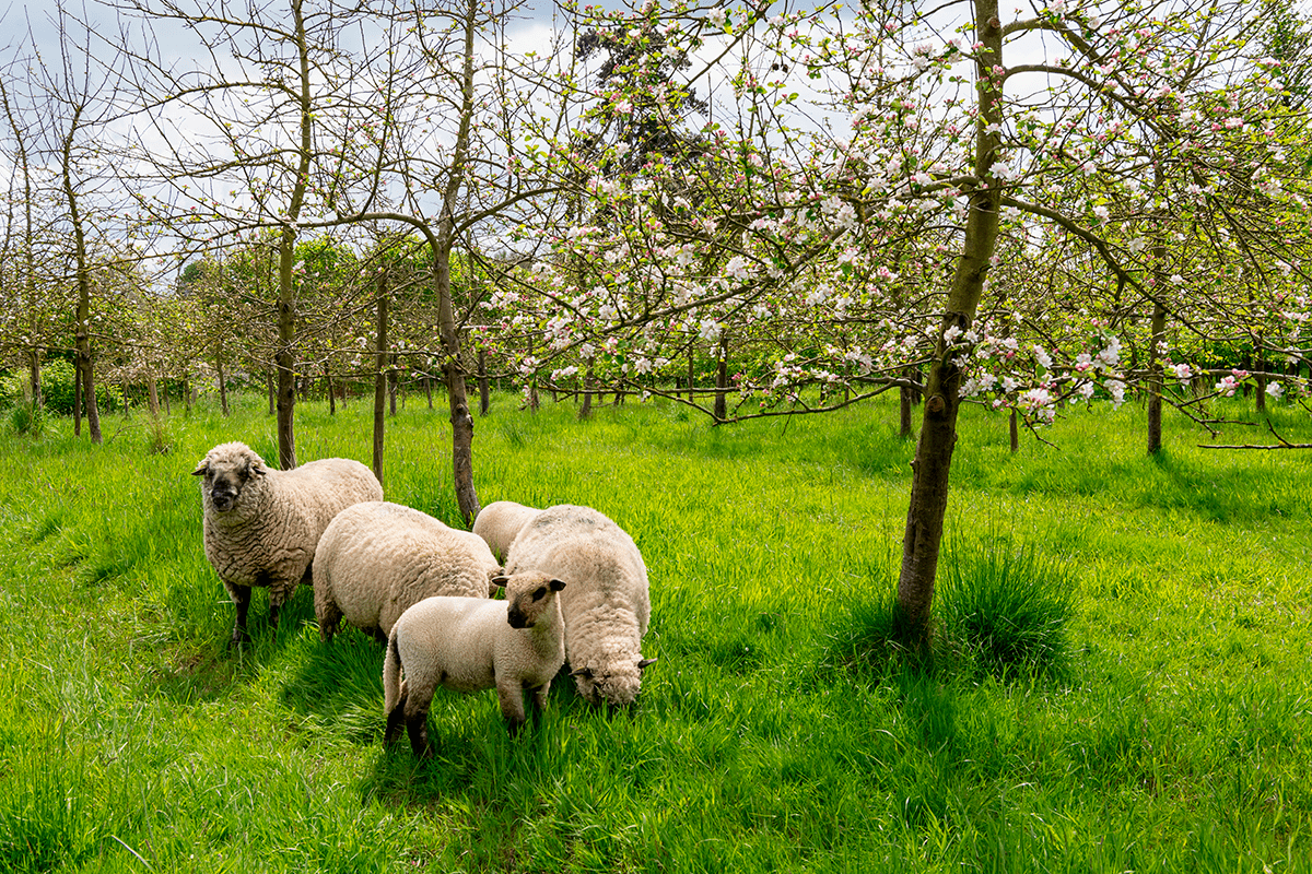 Farming's new frontier: agroecology in action