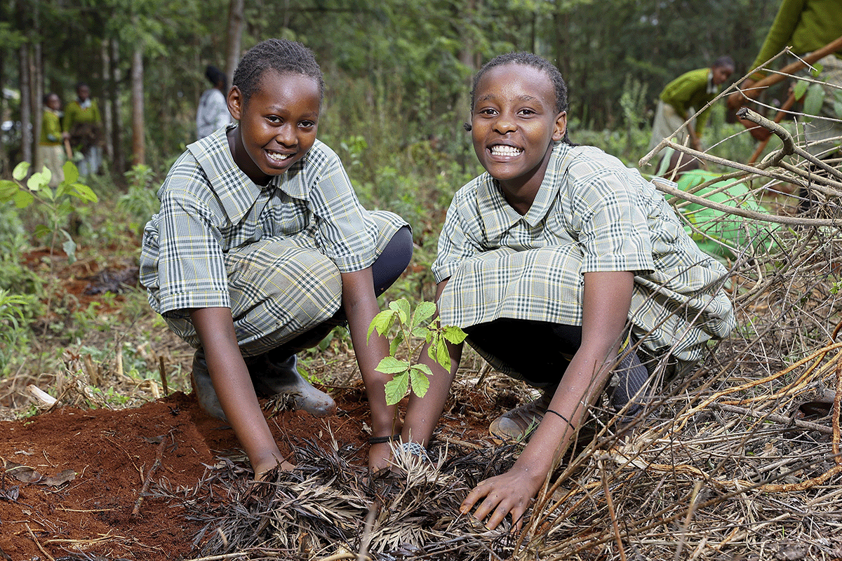 All you need to know about green bonds