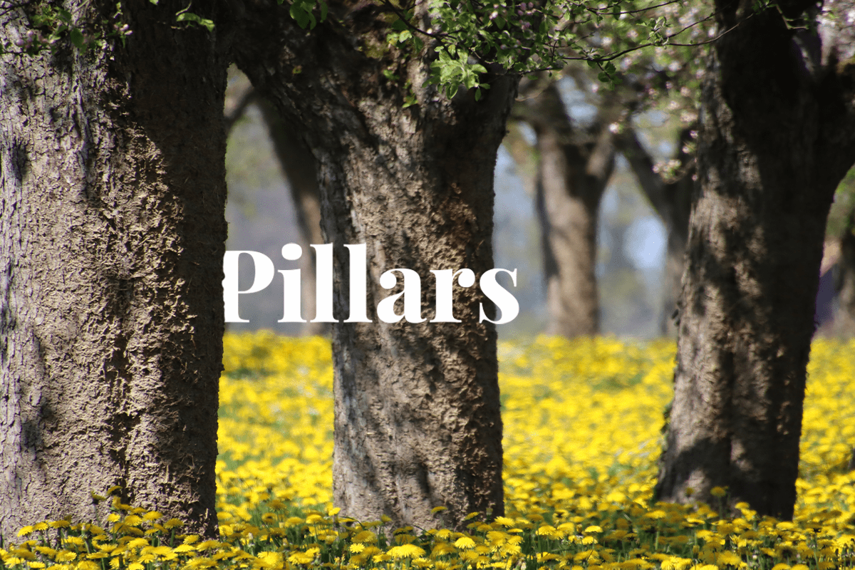 All you need to know about the 3 pillars of corporate sustainability