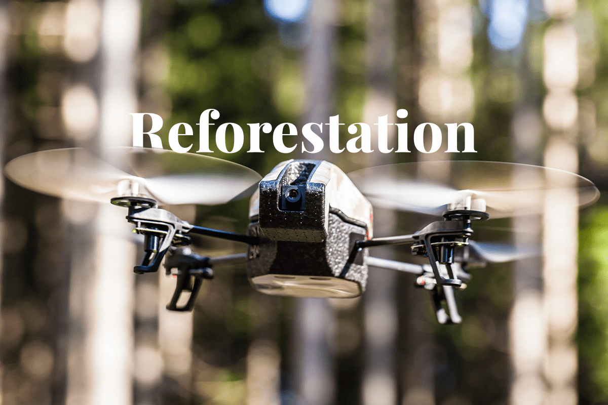 Argentina researchers develop AI drones for intelligent reforestation