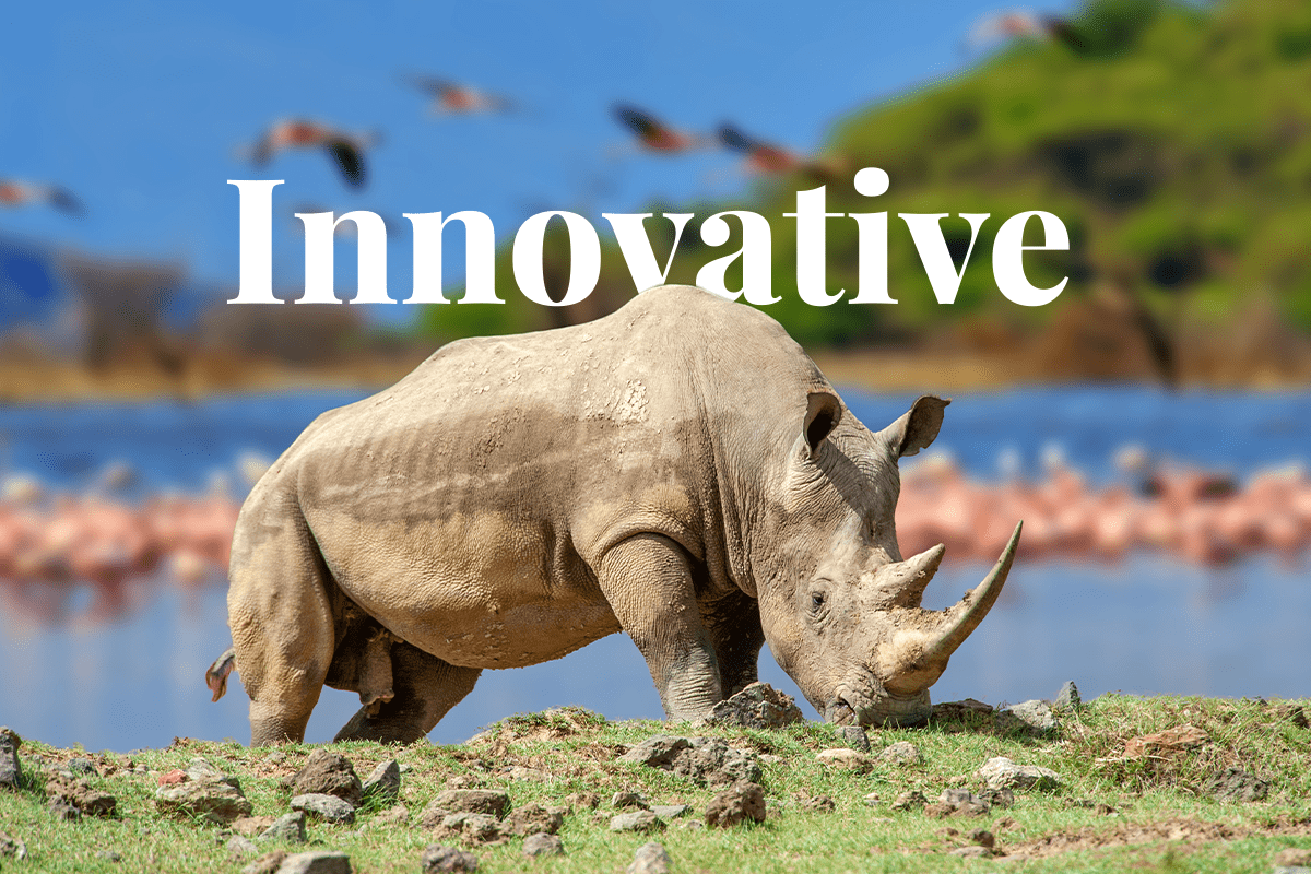 Biodiversity credits: an innovative financing mechanism for conservation