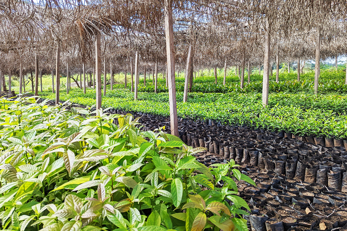 Green Earth | Understanding why biodiversity is vital to our planet