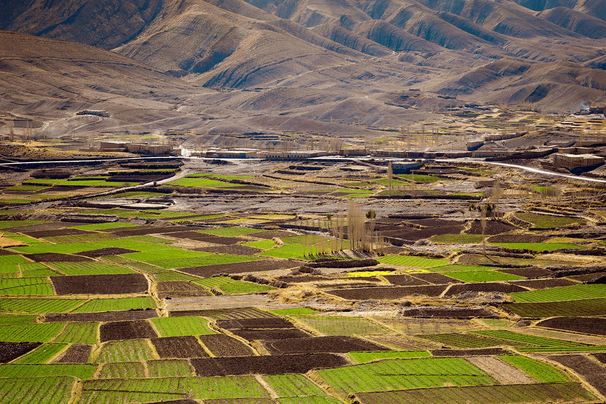 Green Earth | How to combat desertification