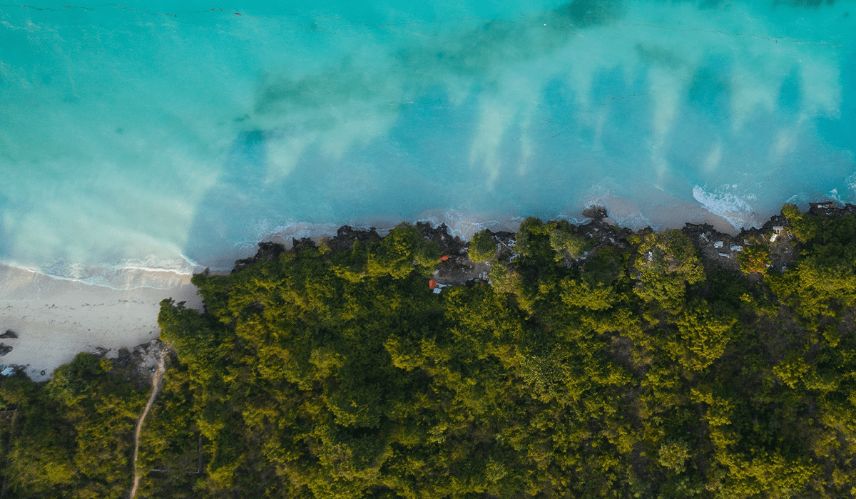 Conserving Tanzania's ocean: Heshimu Bahari project launched with US ...