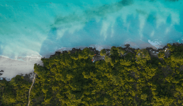 Conserving Tanzania's ocean: Heshimu Bahari project launched with US ...