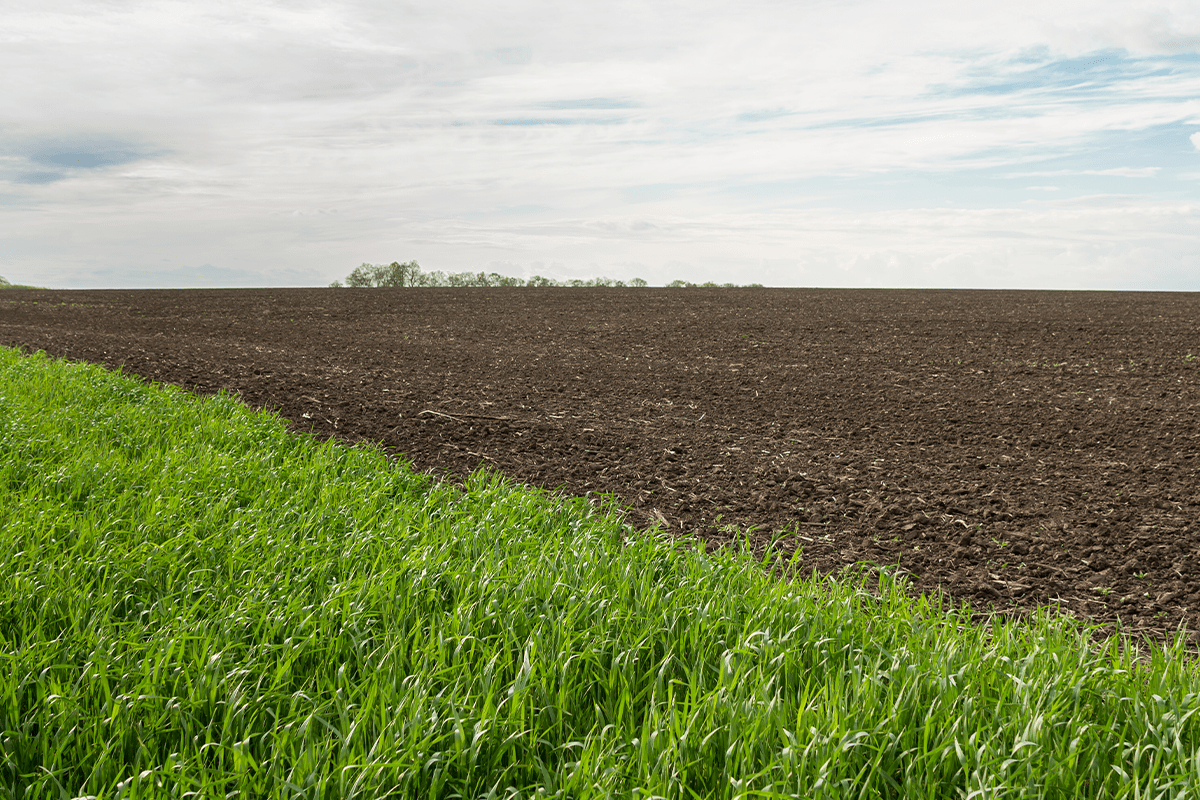 Cultivating the future: How regenerative agriculture is transforming ...