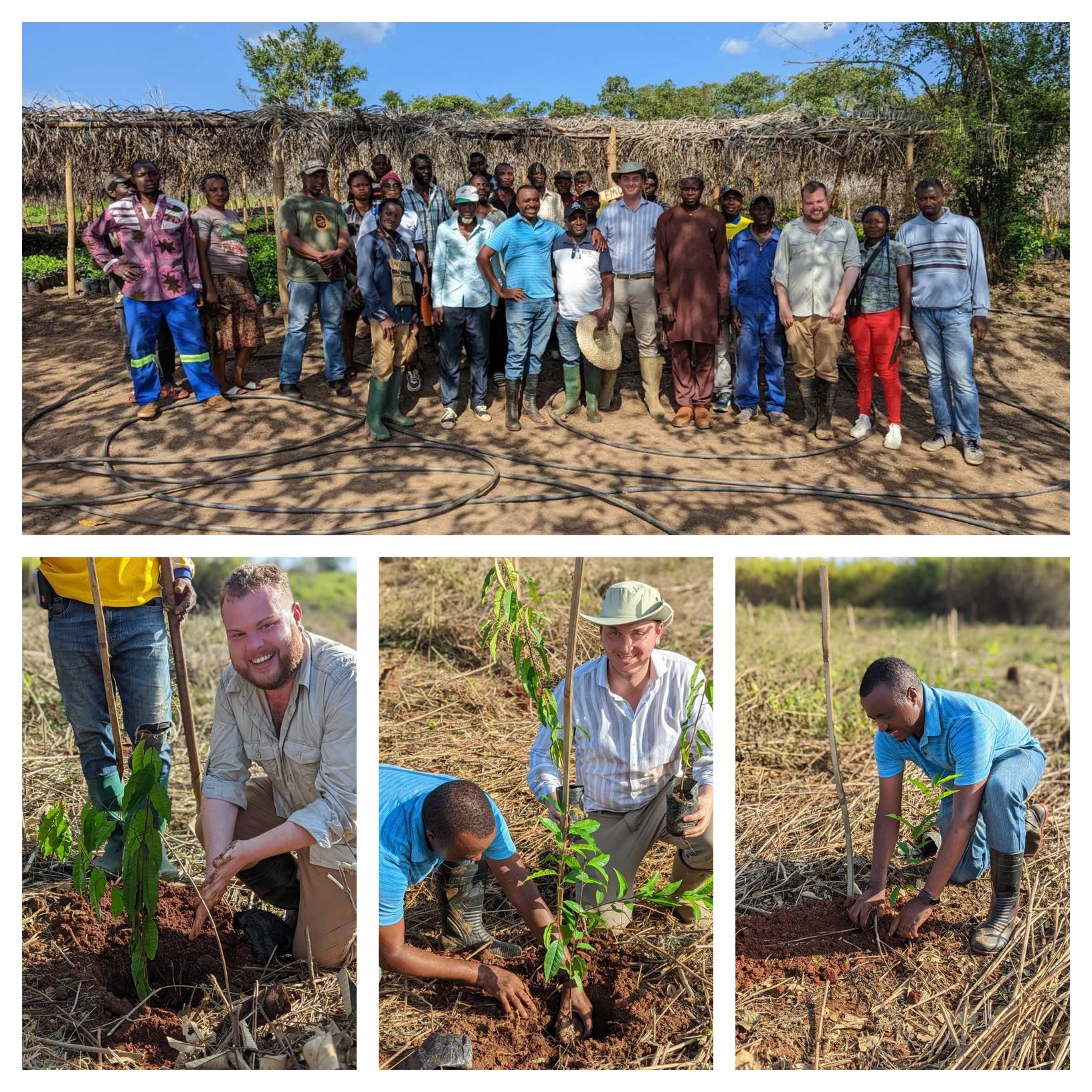 The first trees in Cameroon have been planted