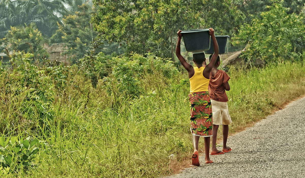 Green Earth | DRC Reforestation Project, Democratic Republic of the ...