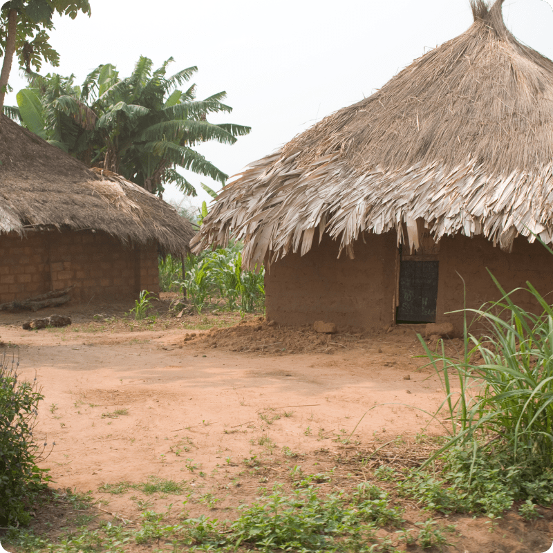 Green Earth | DRC Reforestation Project, Democratic Republic of the ...