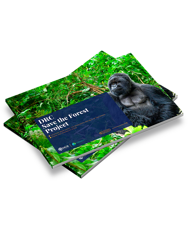 DGB | DRC Reforestation Project, Democratic Republic of the Congo (DRC)