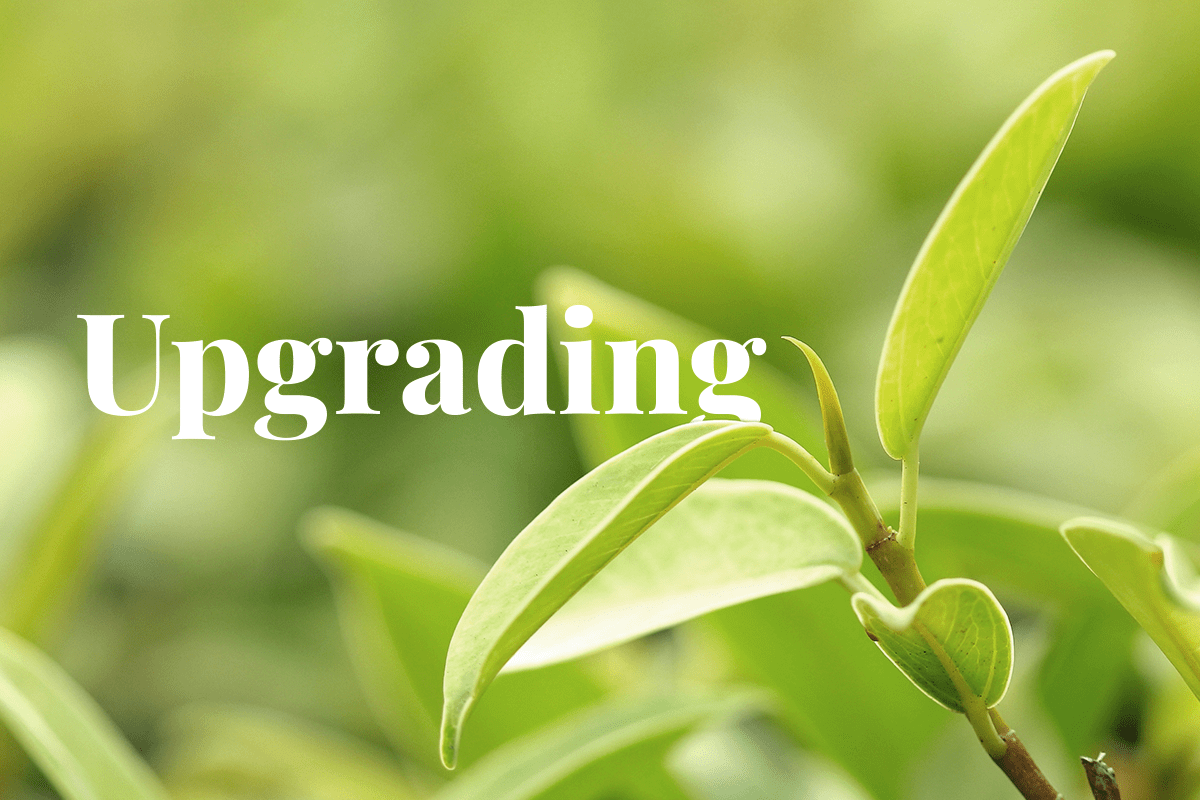 EU to upgrade carbon market and introduce carbon import tax