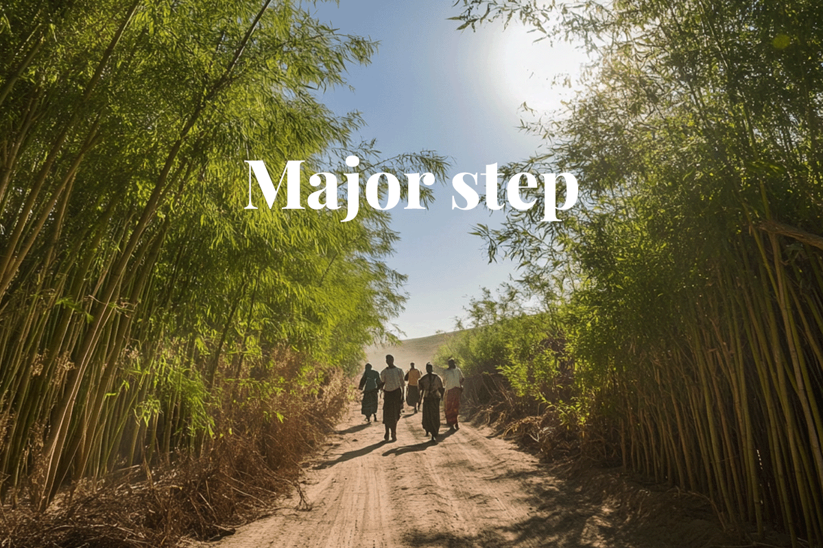 Ethiopia takes major step toward carbon finance with reforestation project