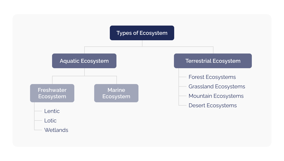 Green Earth | What makes up an ecosystem?