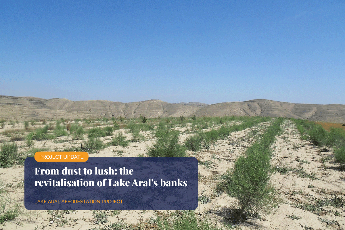 From dust to lush: the revitalisation of Lake Aral's banks