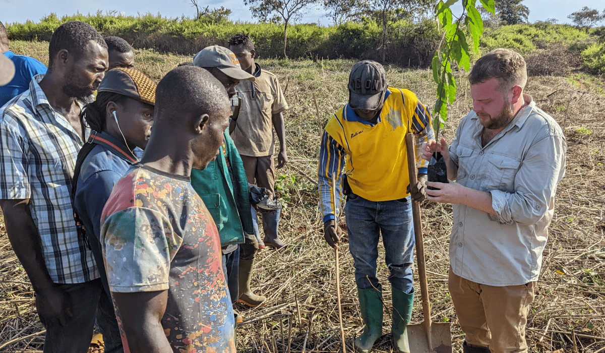 Green Earth | Greenzone Reforestation project, Cameroon