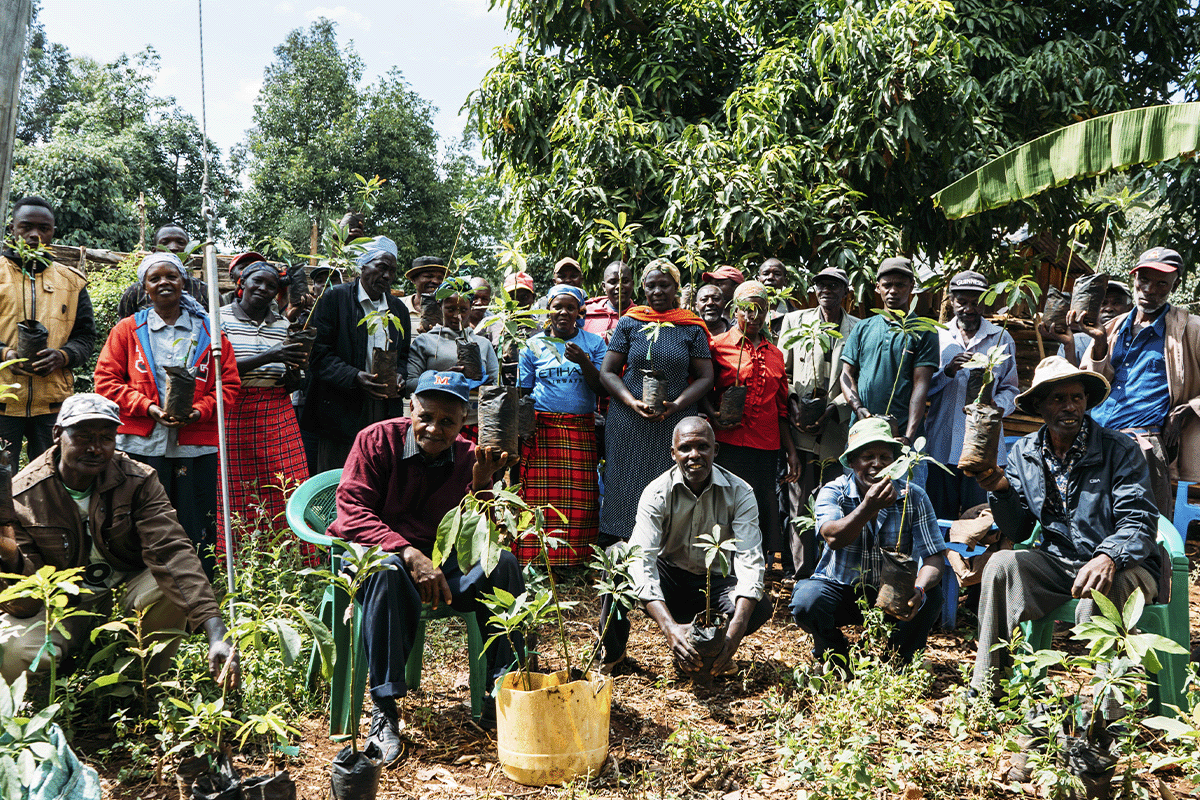 Growing green: The Hongera Reforestation Project expands its nurseries ...