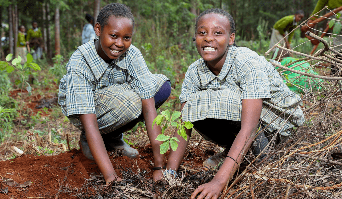 Green Earth | Hongera Reforestation Project, Kenya