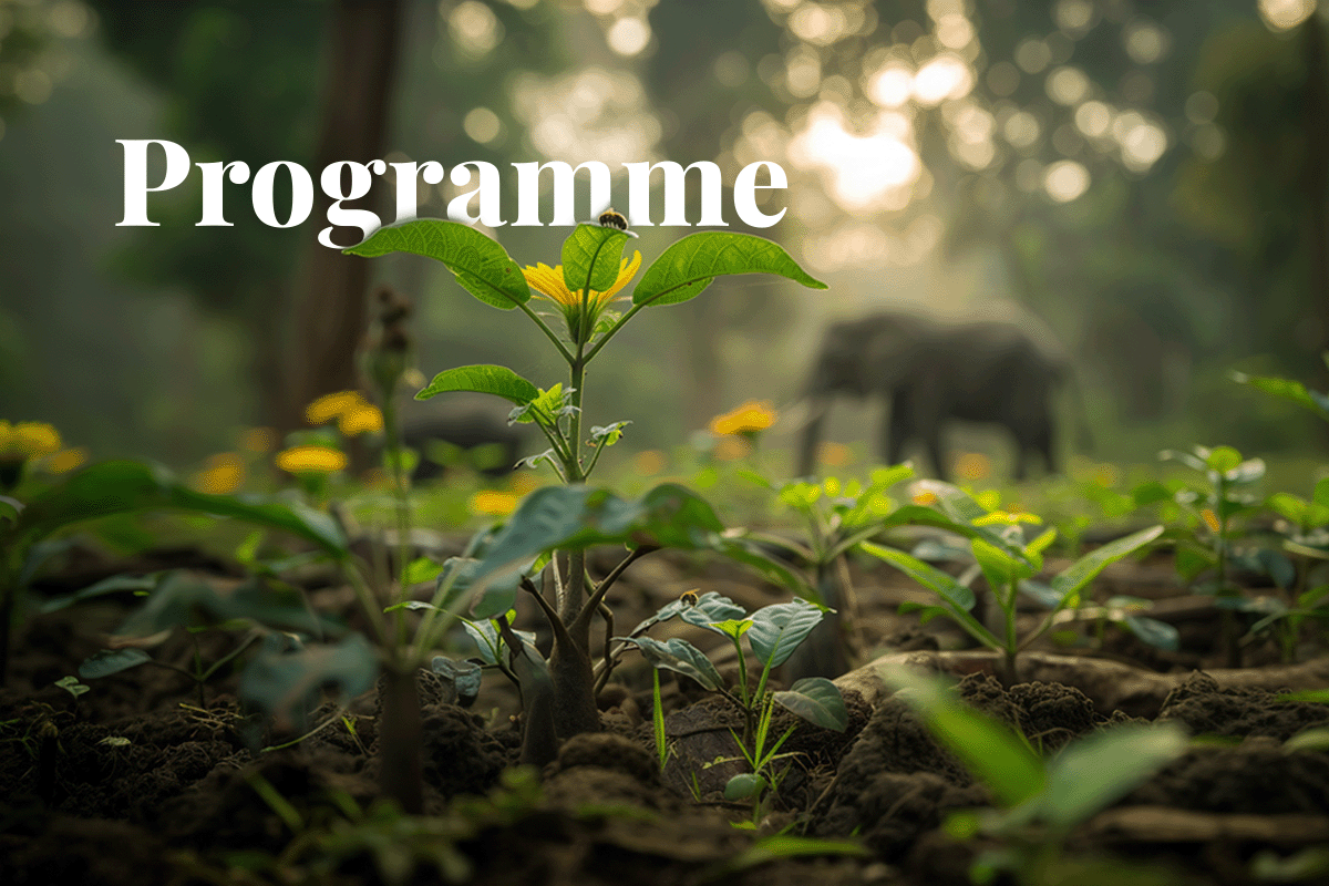 ICR launches pioneering biodiversity credit initiative