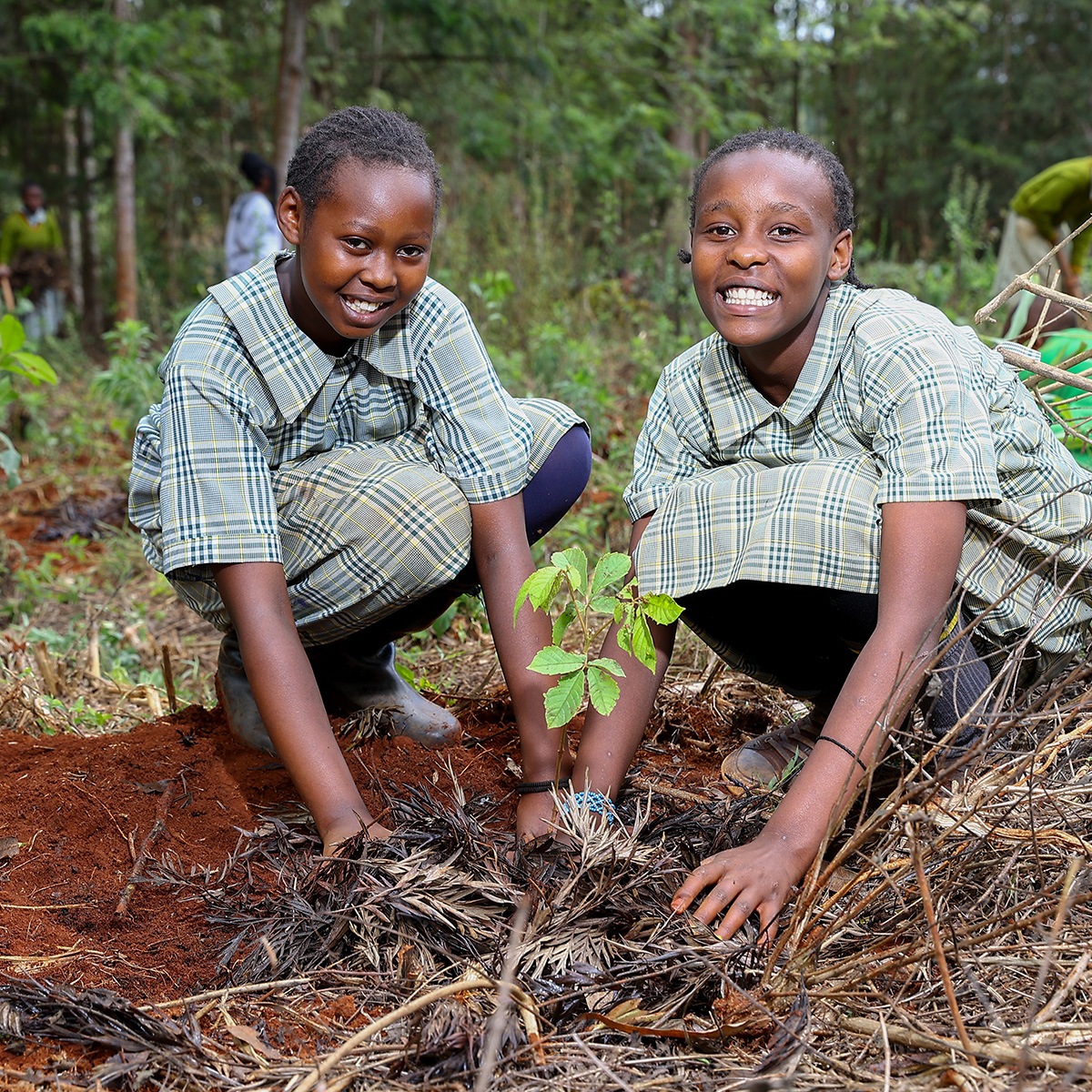 DGB | Local communities