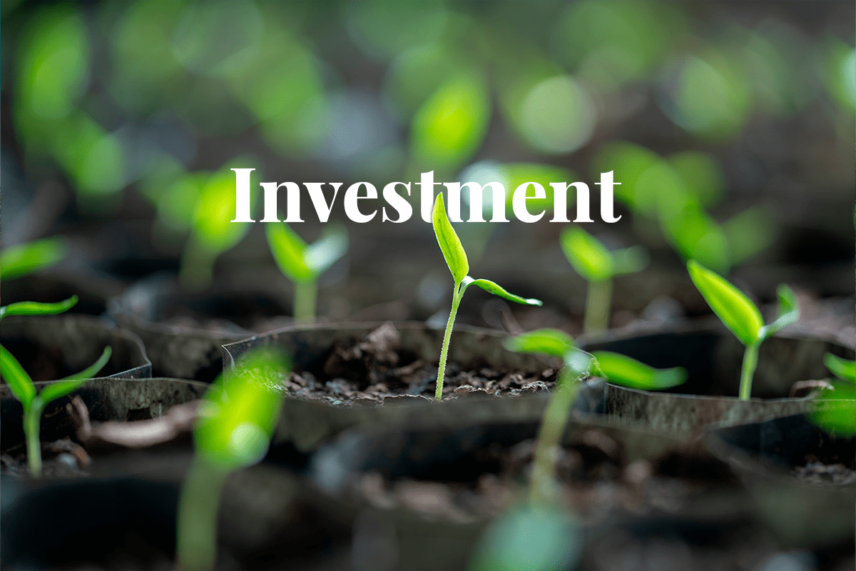 Investing in nature: A key solution to prevent nature loss