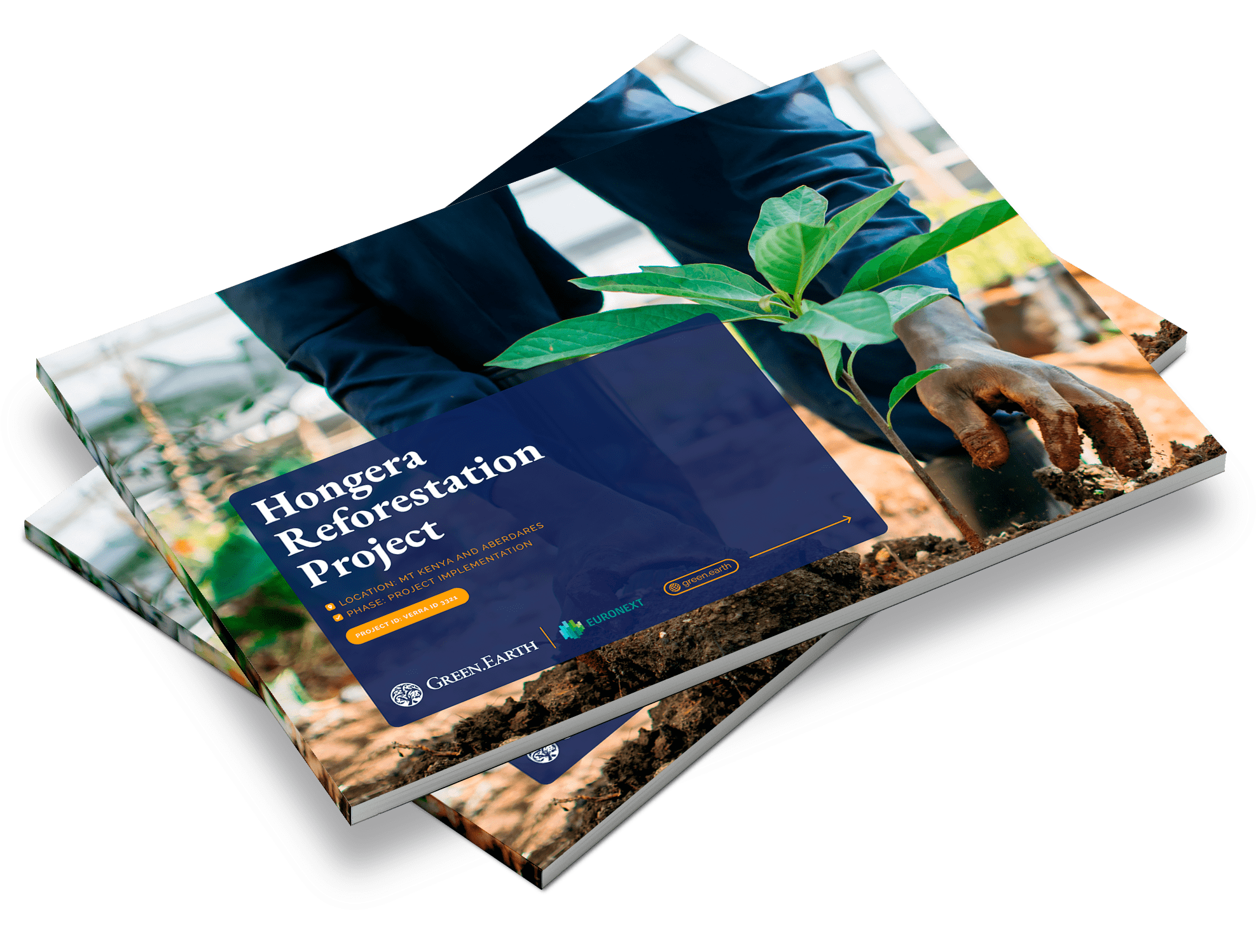 Green Earth | Hongera Reforestation Project, Kenya