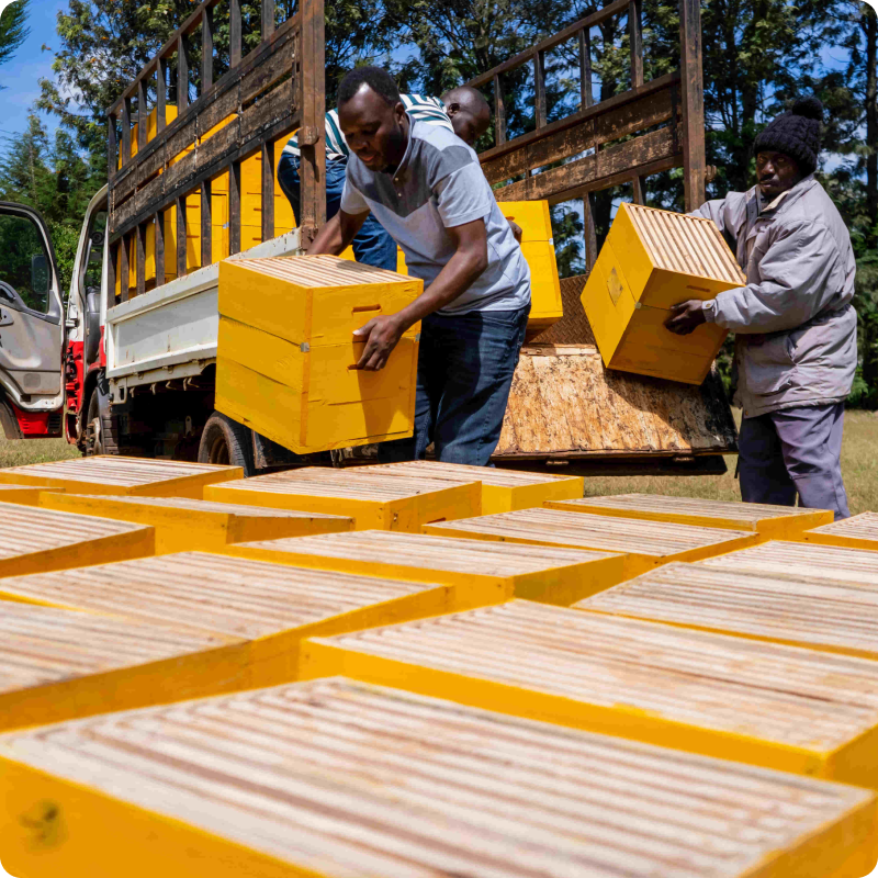 Green Earth | Kenya Beehive Project