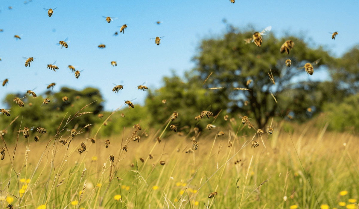 Green Earth | Kenya Beehive Project