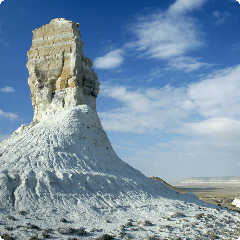 Green Earth | Lake Aral Afforestation Project, Kazakhstan