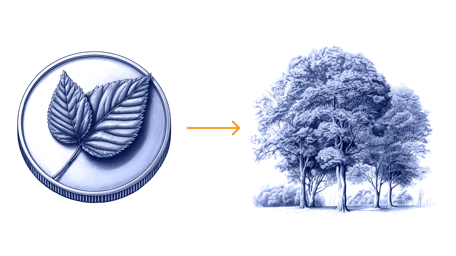 DGB | Tree planting for your business