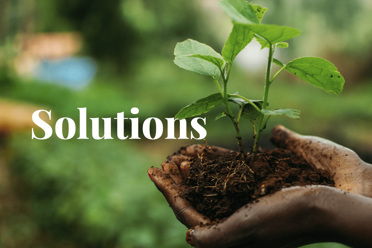 Net zero: benefits, challenges, strategies, and the power of nature ...