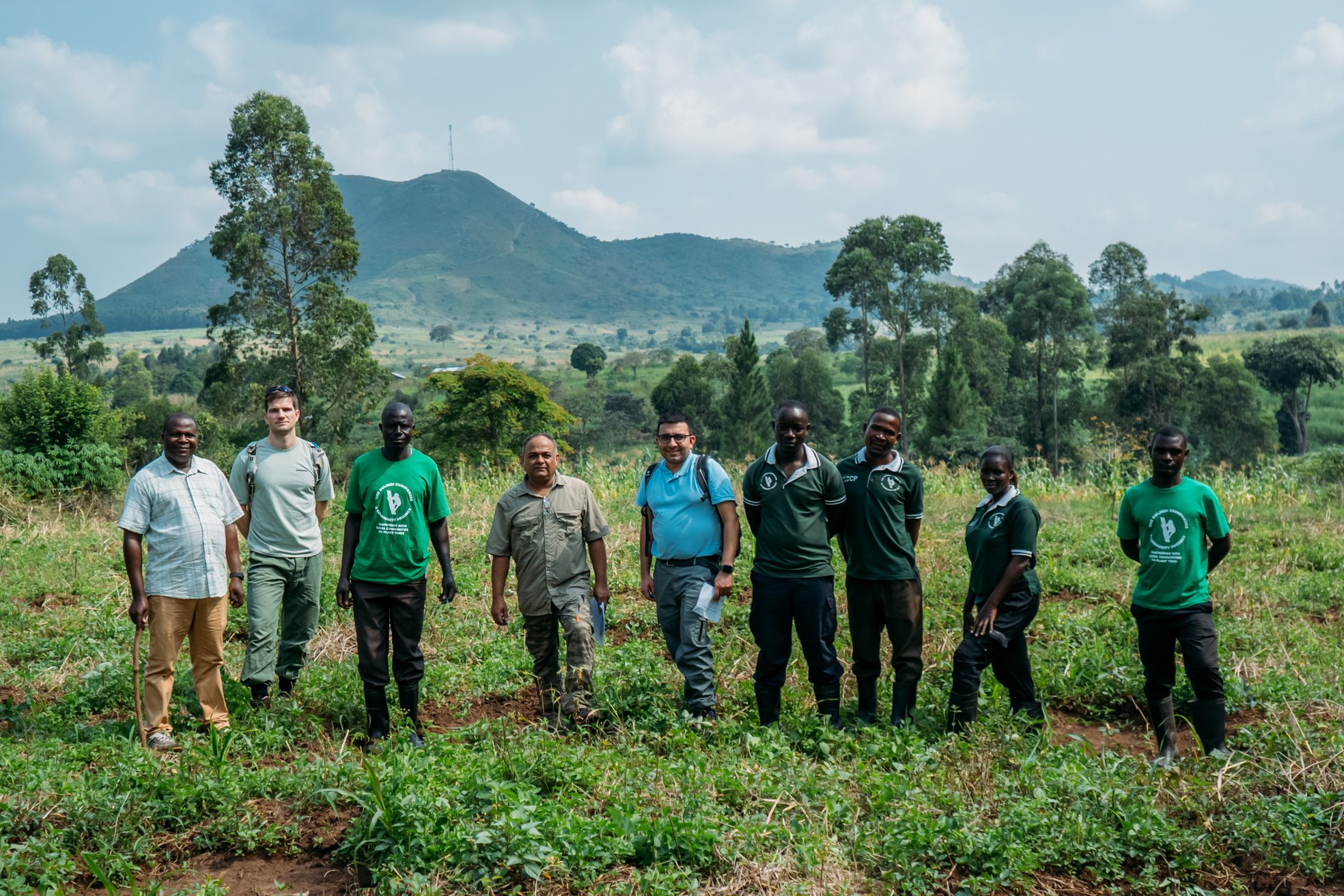 DGB Group provides update on agreement with leading car manufacturer