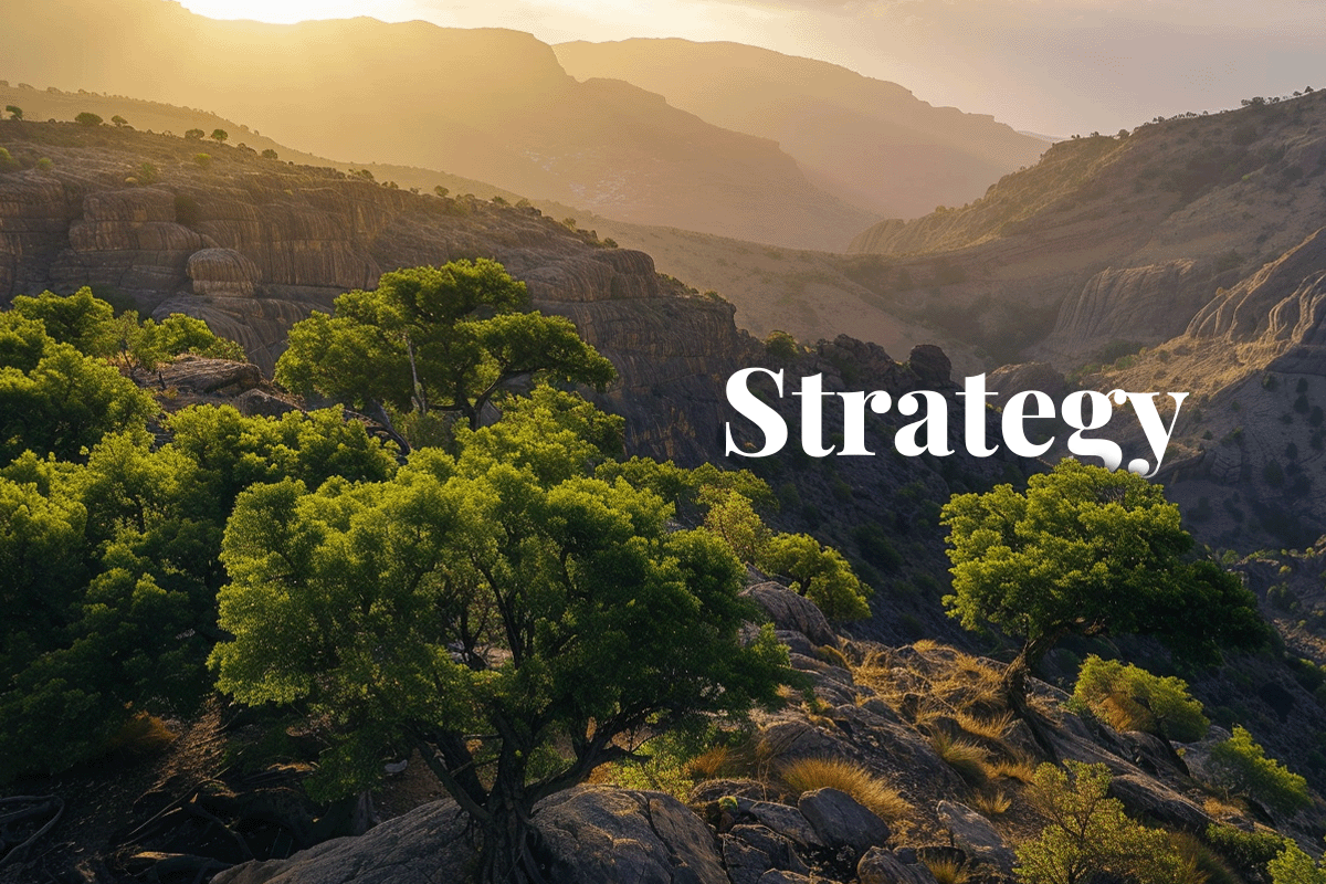 Oman finalises key carbon trading framework for global review