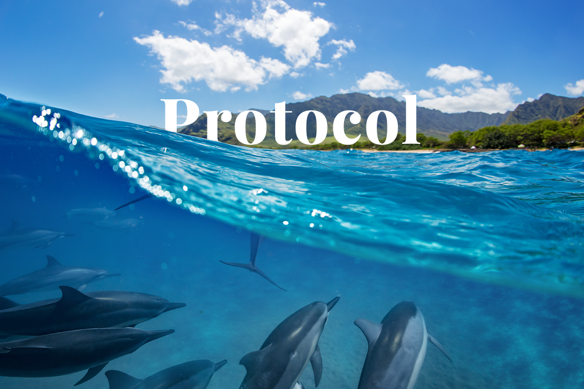 Planetary Technologies publishes MRV protocol for ocean-based carbon ...